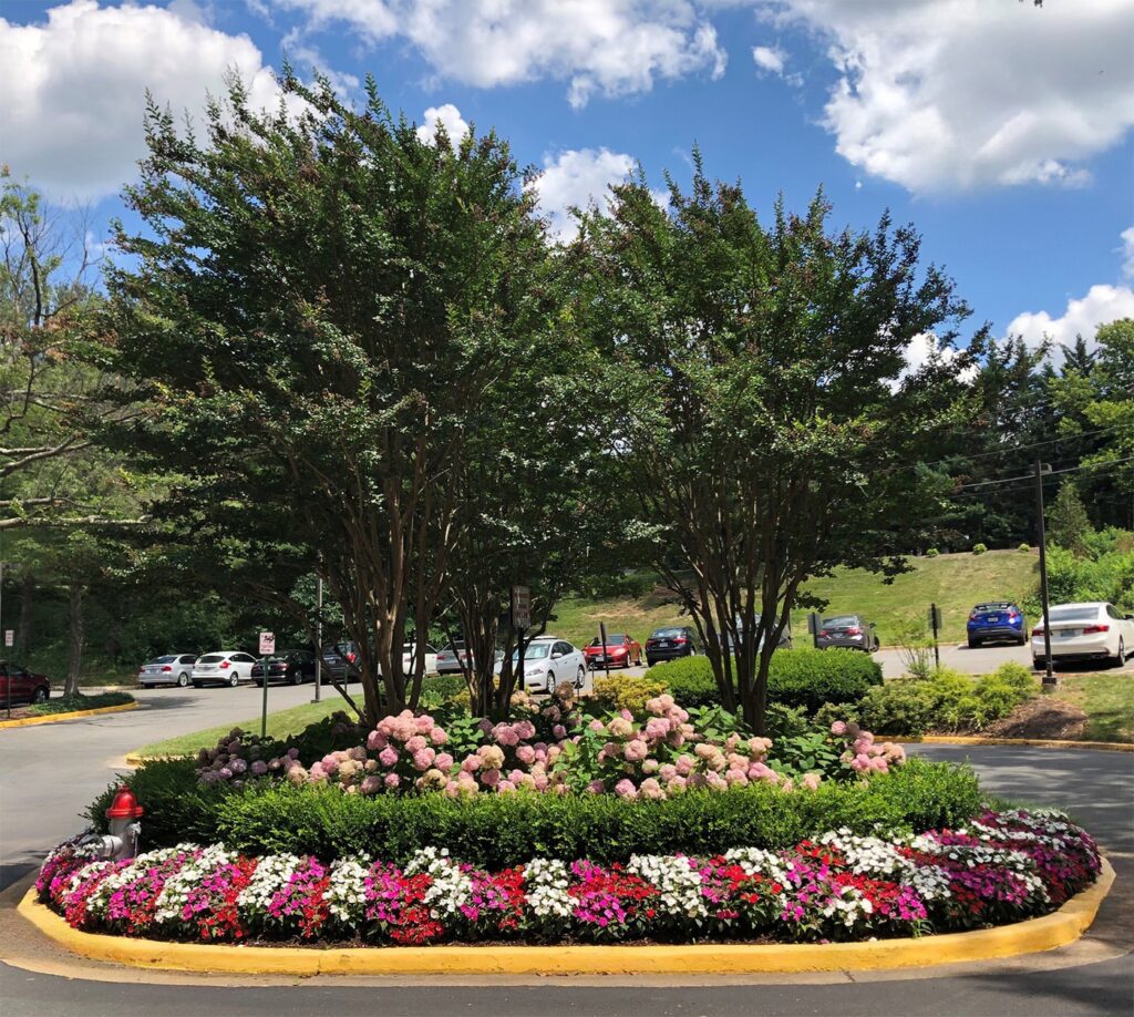 Commercial Landscape Management - Community Landscape Services